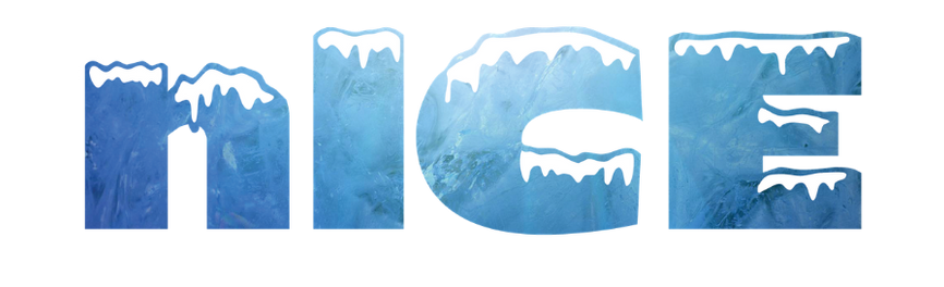 Nice Ice | Ice Delivery London | Party & Dry Ice Supplier